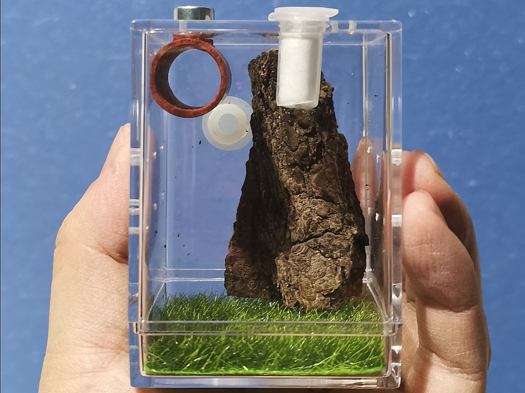 Enclosure Set - Bugs Killer