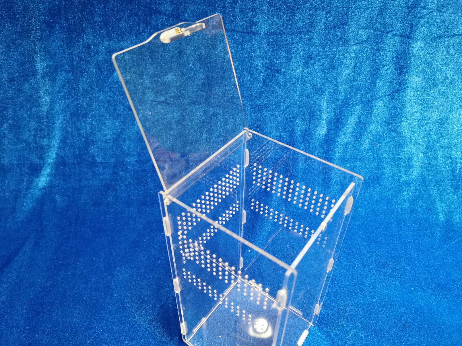 Big Enclosure - Bugs Killer